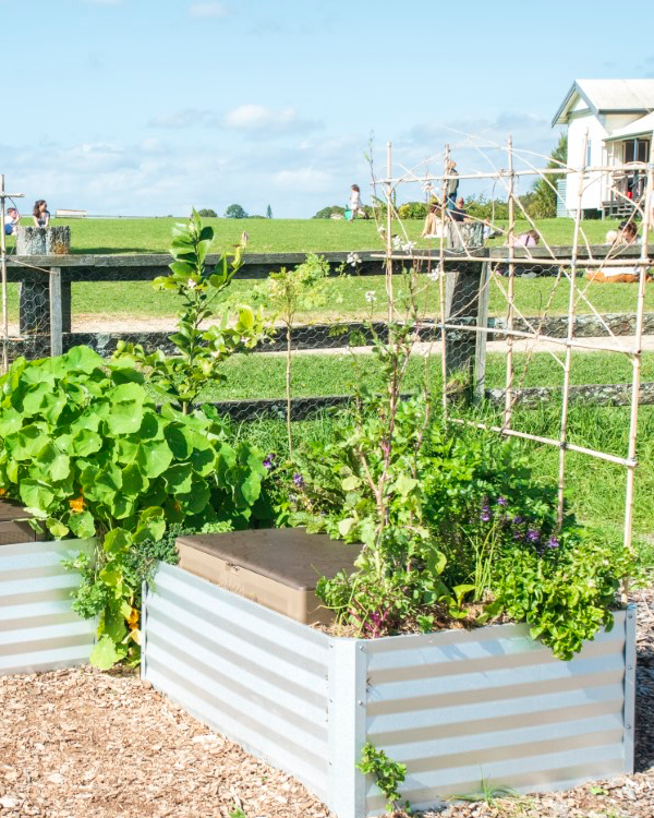 Zero Waste Gardening - Zero Waste Home - Sustainable Backyard ...