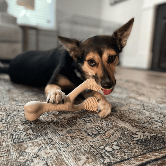 All Natural Dog Bone - Eco Friendly Dog Toy - BetterBone ...
