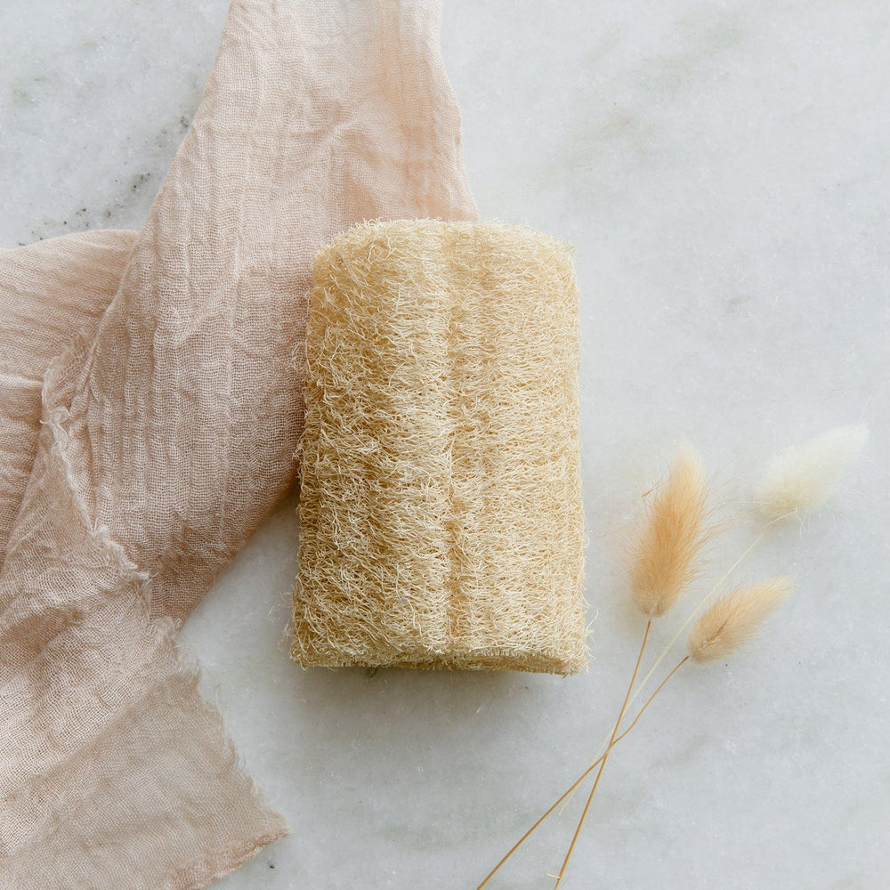 Loofah Sponge - Natural Loofah - Zero Waste Loofah – ZeroWasteStore.com
